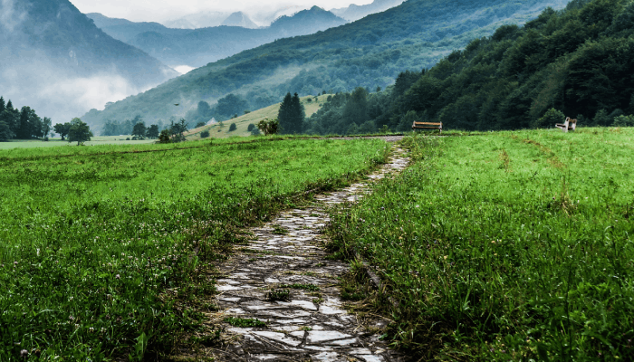 meplan auf dem Weg zur ISO 20121-Zertifizierung - meplan